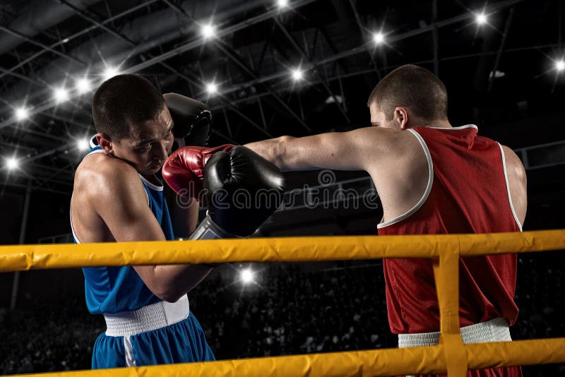 Two Professional Boxer Boxing Stock Image - Image of match, fist: 113791687
