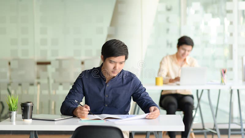 Two Professional Business Men Work on Projects Together in a Modern ...