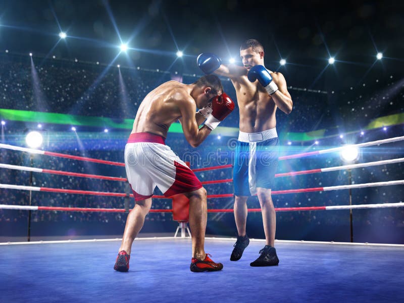 Two Isolated Professional Female Karate Fighters Stock Photo - Image of ...