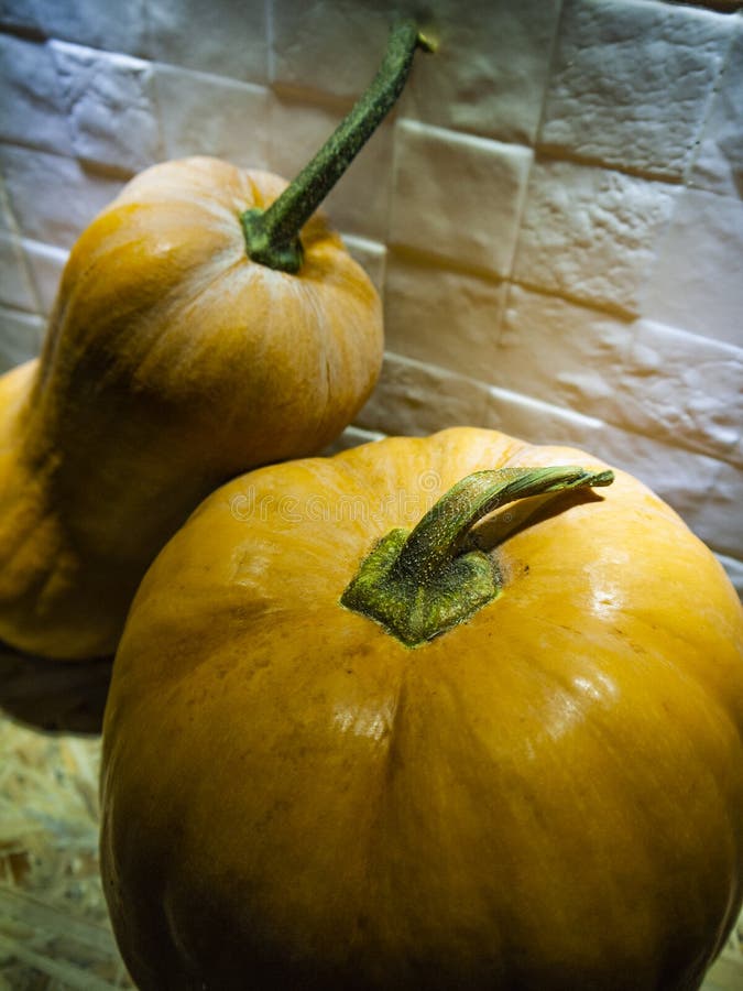 Two pumpkin stock image. Image of orange, pumpkin, harvest - 128526085