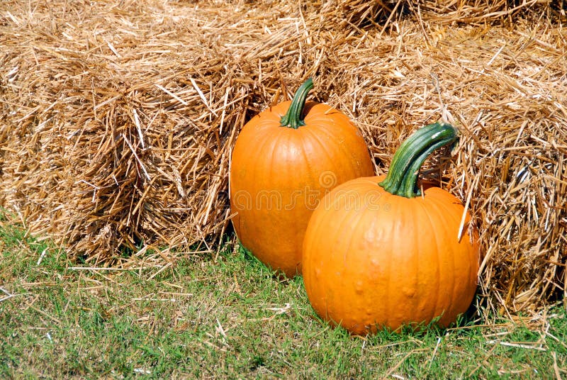 Two pumpkins stock photo. Image of details, pumpkins - 11181210