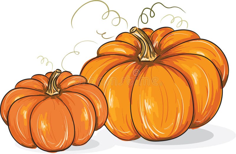 Pumpkins stock vector. Illustration of seasonal, fall - 33602006
