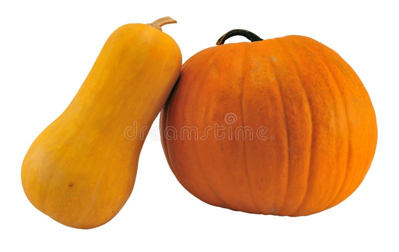 Two pumpkins stock image. Image of orange, seasonal, squash - 11373597