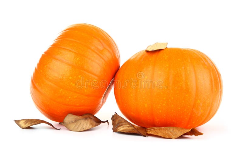 Two pumpkins stock photo. Image of copy, orange, decorative - 16184282
