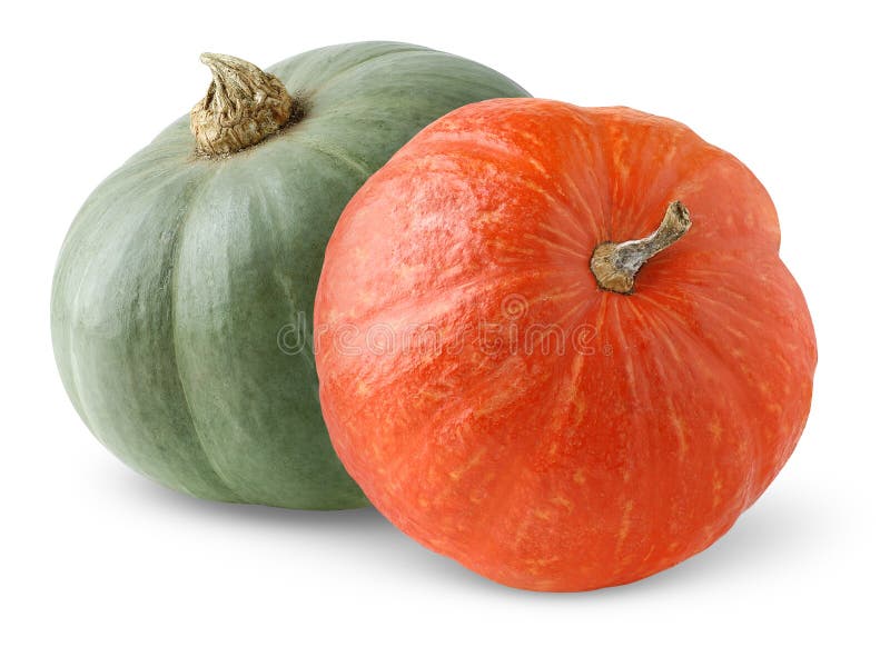 Two pumpkins stock photo. Image of cutout, orange, food - 16604138