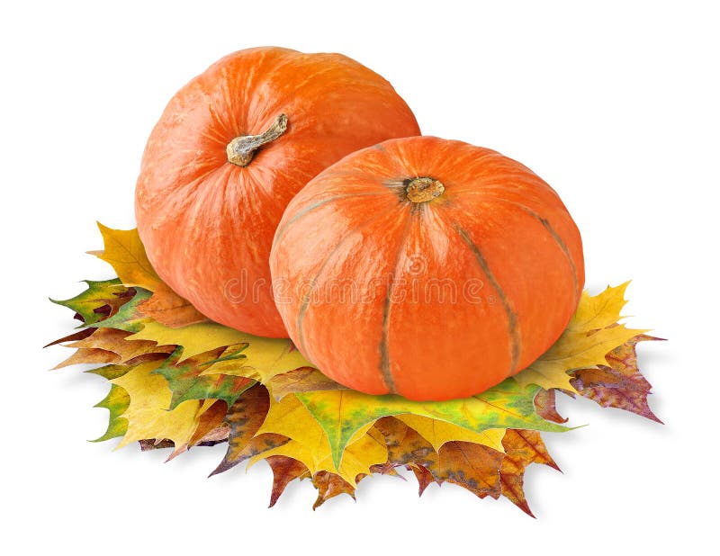 Mini-Pumpkins on Fall Leaves Stock Image - Image of small, colorful ...
