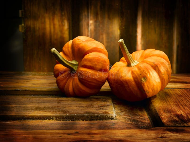 Two pumpkins stock image. Image of autumn, taste, food - 25466453