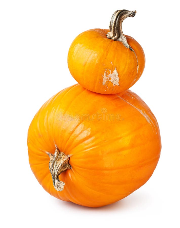 Pumpkins stock photo. Image of country, rural, collection - 33870482