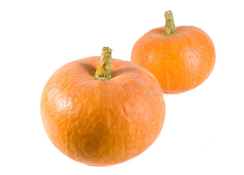 Two pumpkins stock photo. Image of pumpkin, ripe, food - 7098392