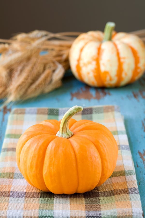 Two pumpkins stock photo. Image of food, organic, fresh - 8526708