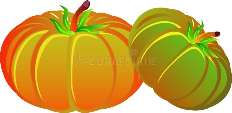 Two pumpkins stock illustration. Illustration of decorate - 47890166