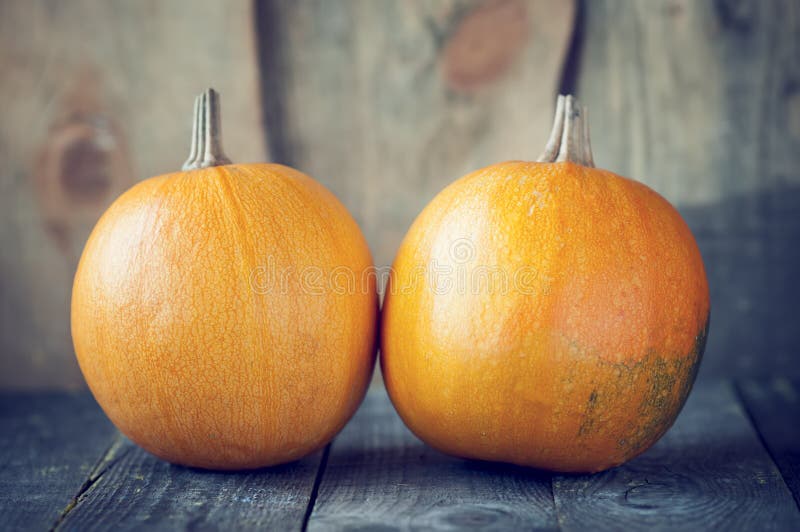 Two pumpkins stock photo. Image of cooking, agriculture - 45529972