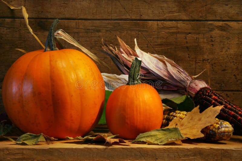 Two pumpkins on the shelf stock photo. Image of country - 3251858