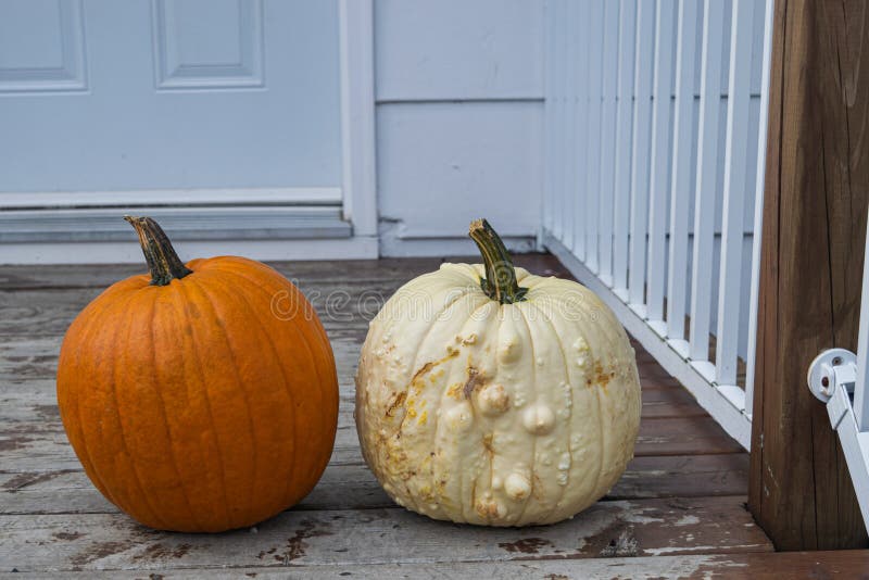Two Pumpkins Side by Side stock image. Image of scary - 259860427