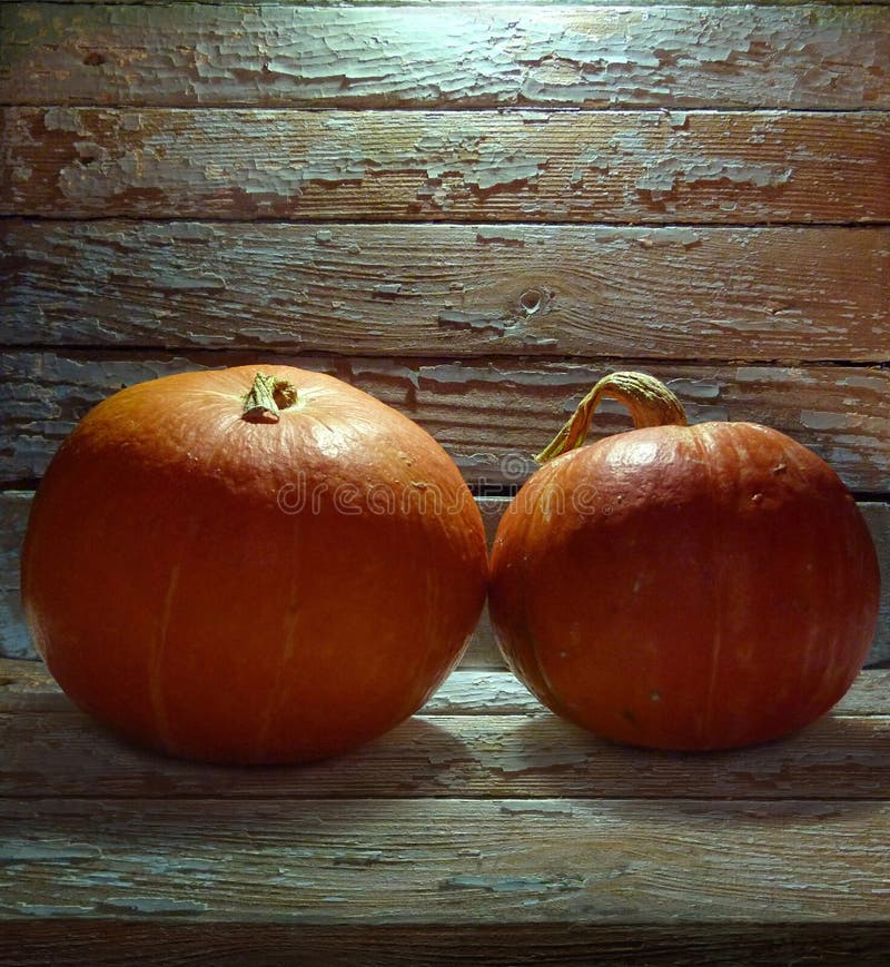 Two Pumpkins in the Twilight on the Background of Old Boards Stock Photo - Image of books, blue ...