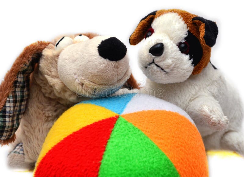 Two puppies and a ball stock photo. Image of animals - 49773232