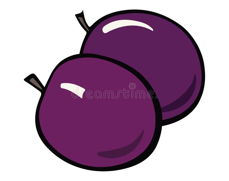 Two Blue Plums stock vector. Illustration of blue, agriculture - 3229929