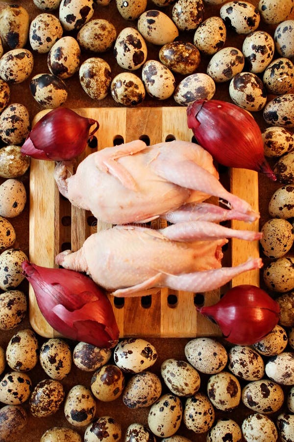 Two Quail Carcasses on the Board and Many Small Eggs Stock Image ...