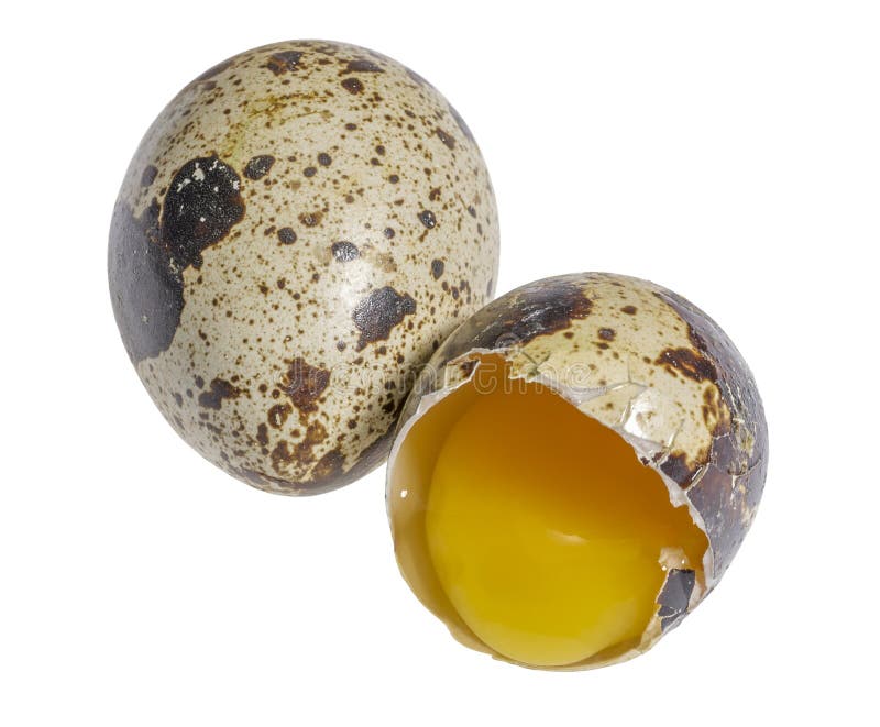 Two quail eggs stock image. Image of bird, food, fragile - 90356343