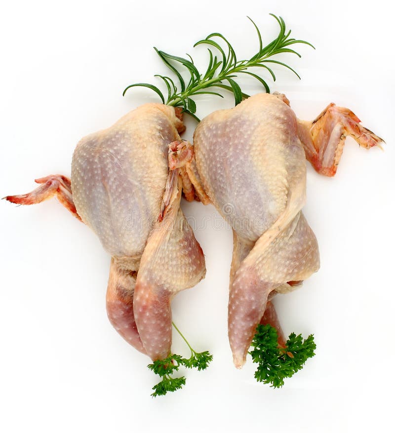 Two Quail, Prepared with Rosemary and Parsley Stock Photo - Image of ...