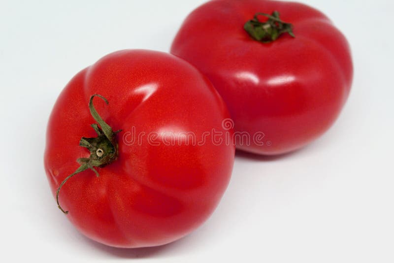 Quebec red tomatoes stock photo. Image of taste, snack - 121568640