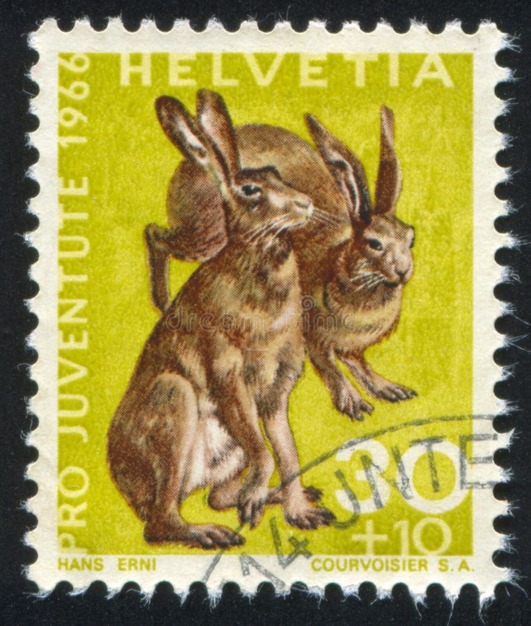 Two rabbit editorial photo. Image of historic, garden - 238857181