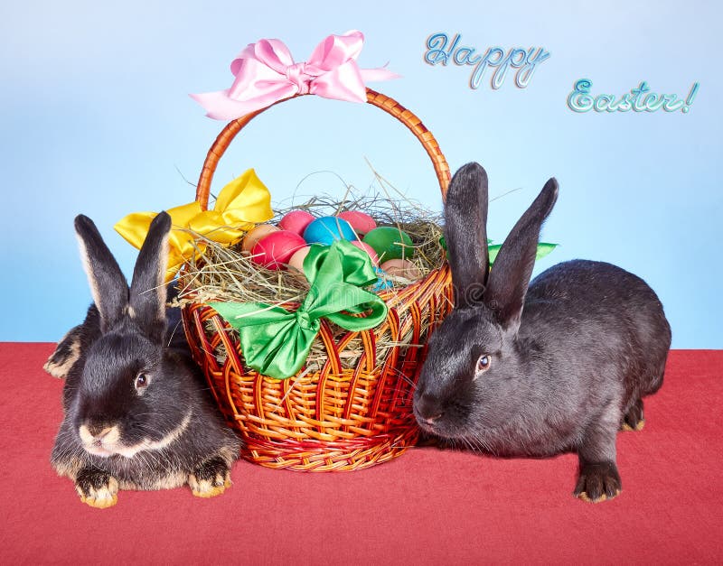 Two Rabbits Lie Near the Easter Basket with Eggs Stock Photo - Image of ...