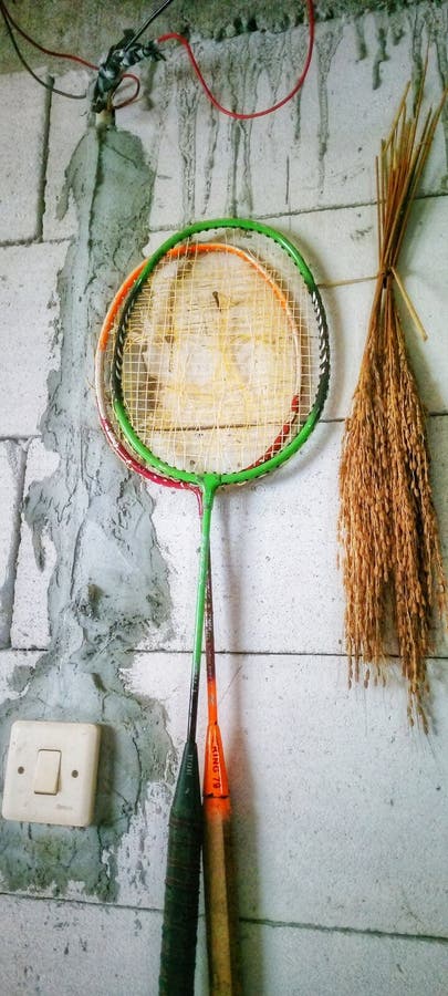 Badminton Painting Stock Photos - Free & Royalty-Free Stock Photos from ...