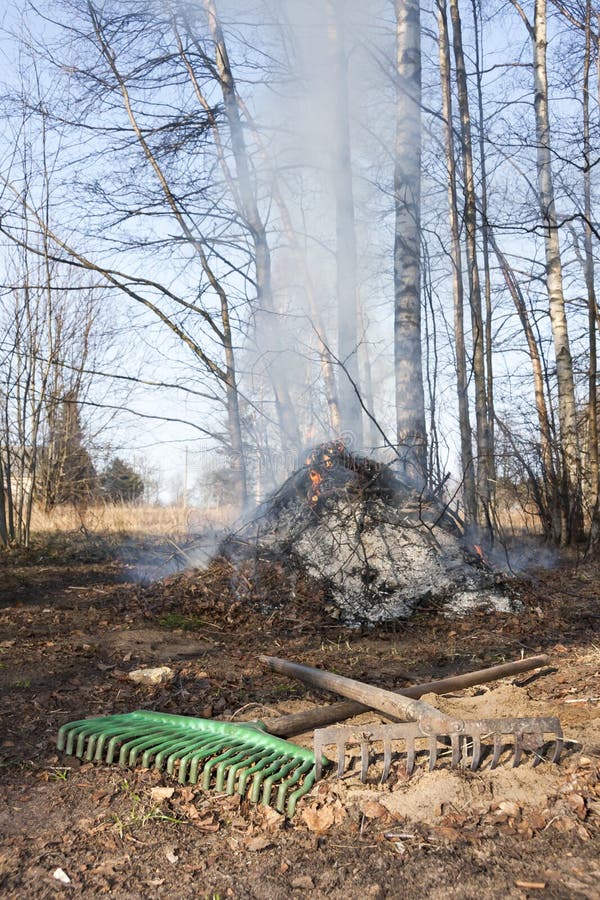 Two rakes and a bonfire stock image. Image of outdoor - 39325845