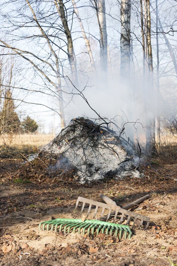 Smoking bonfire at forest stock photo. Image of nature - 39325582