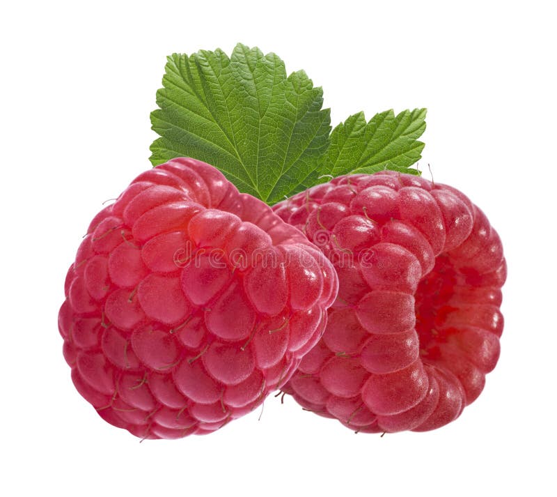 Two Raspberries and Leaves Isolated on White Background Stock Photo ...