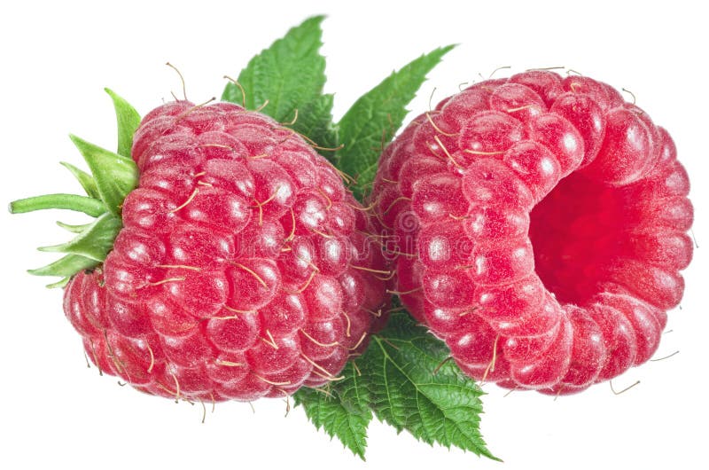 Two Raspberries with Leaves on the White. Stock Photo - Image of berry ...
