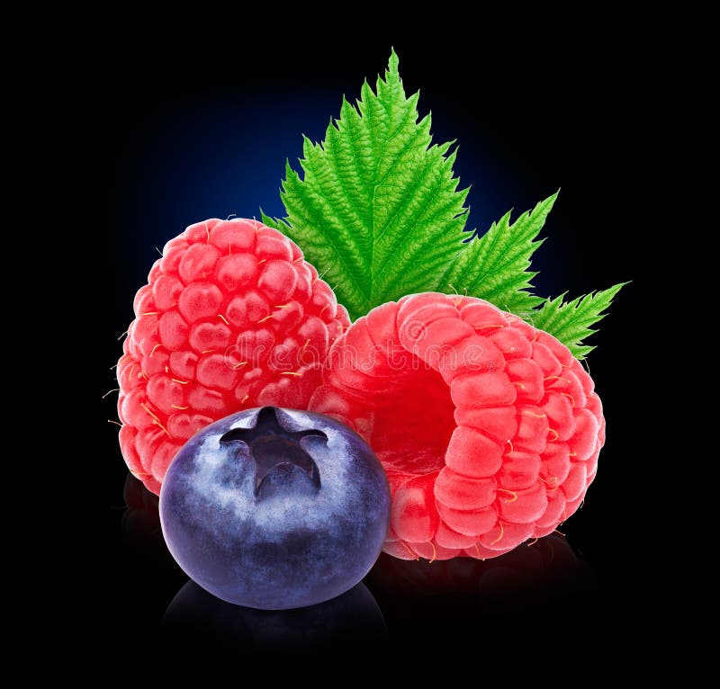 Two Raspberries and One Blueberry Isolated on Blue To Black Stock Photo ...