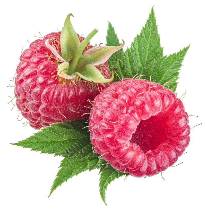 Two Raspberries on the White Background. Stock Image - Image of plant ...
