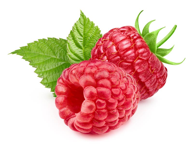 Two Raspberry with Leaves Isolated on White Background Stock Image ...