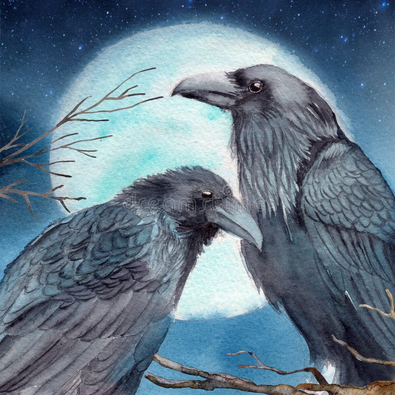 Two Ravens Under a Bright Moon Stock Illustration - Illustration of ...
