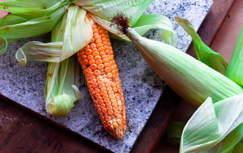 Two Raw Corn Seeds with One Half Opened Cover Stock Photo - Image of ...