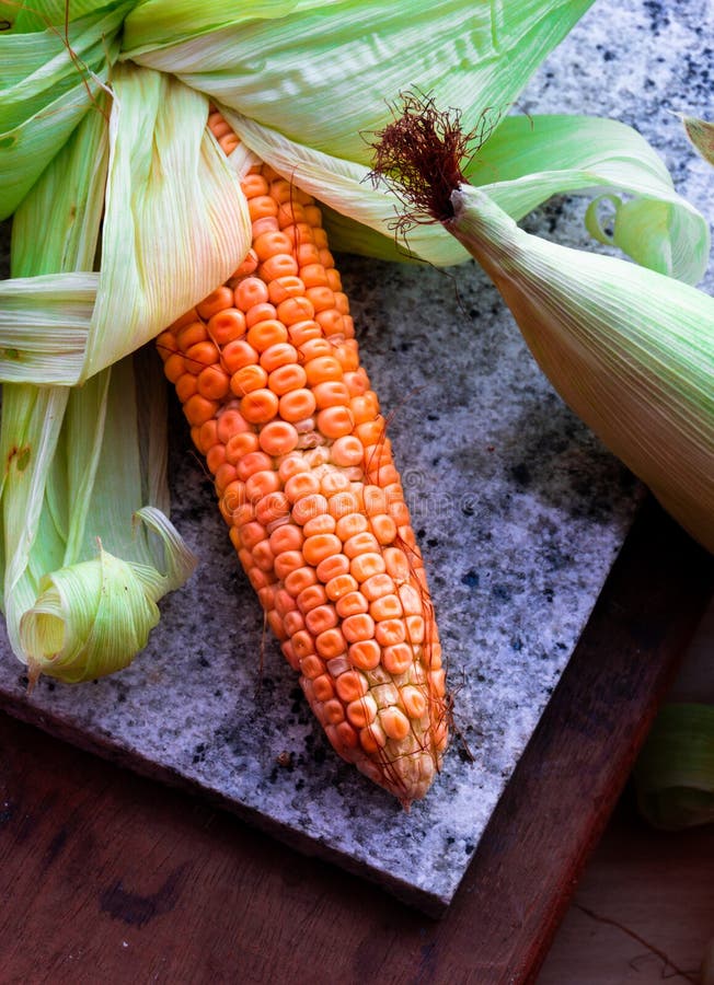 Two Raw Corn Seeds with One Half Opened Cover Stock Image - Image of ...