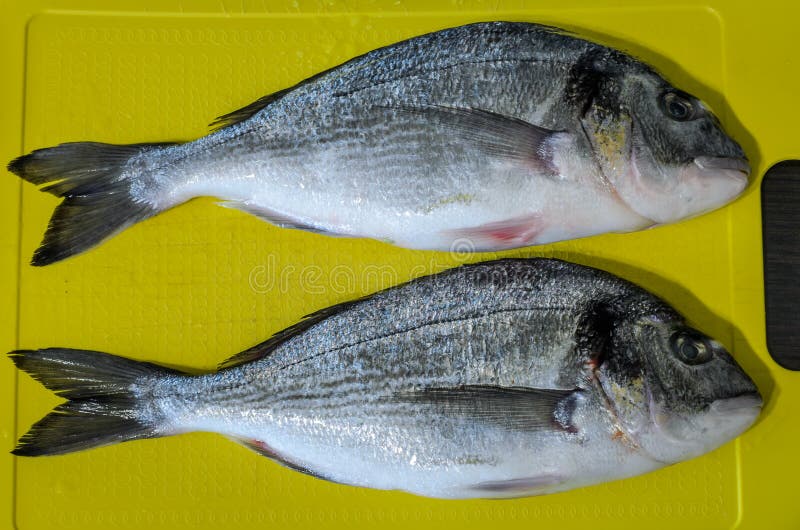 Two Raw Dorado Fish on a Cutting Board Stock Photo - Image of ...