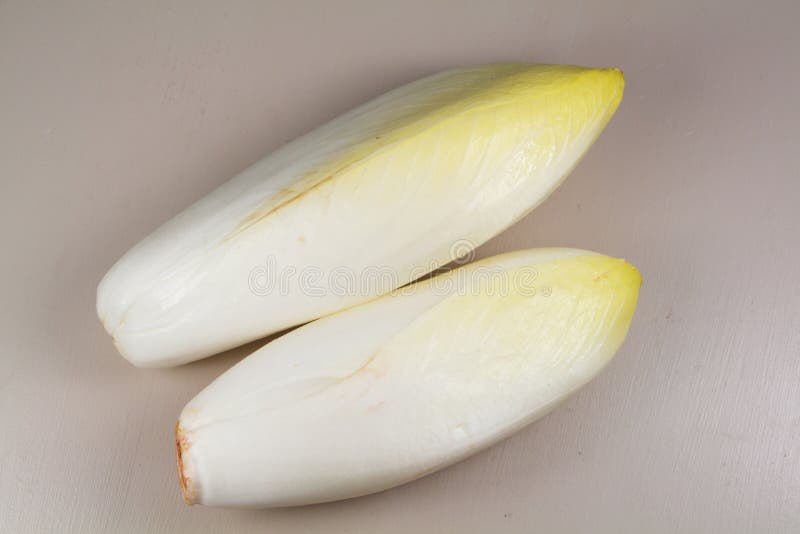 Two raw endives stock image. Image of ingredient, vegetable - 111883865