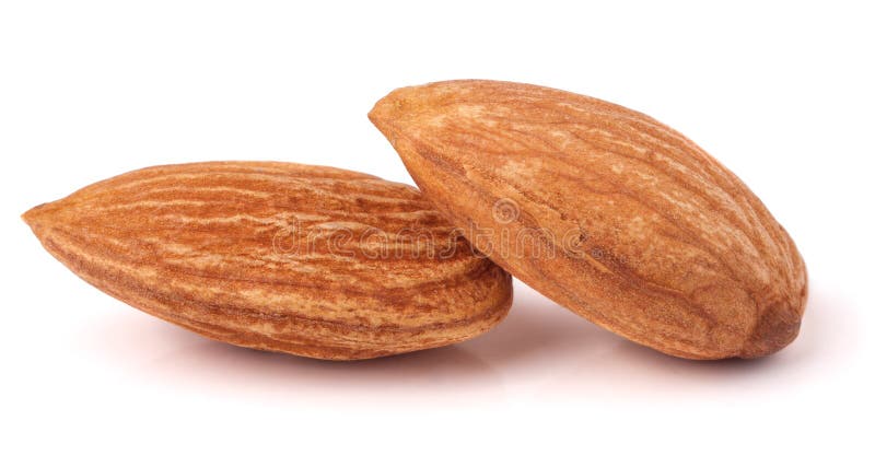 Two Raw Peeled Almonds Close Up Macro Stock Photo - Image of seasonal ...