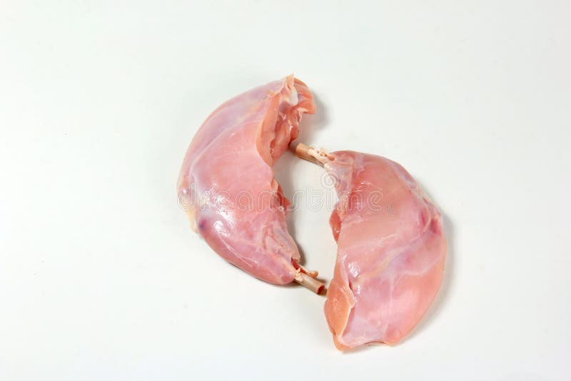 Two Raw Rabbit Legs with Bone on a White Background Stock Photo - Image ...