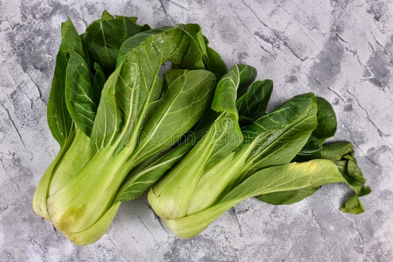 Pak Choi S Vegetables Plant with Hidroponic Metode Stock Photo - Image ...