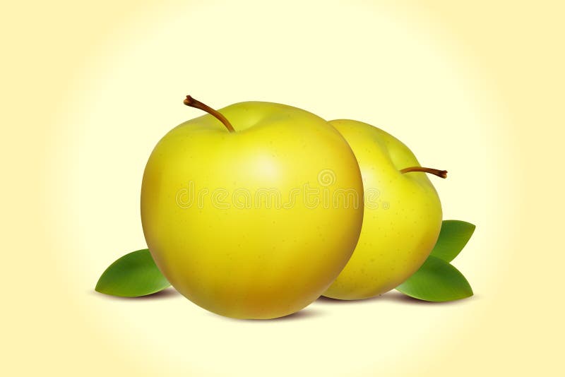 Two Realistic Green Apples With Green Leaf Stock Vector Illustration