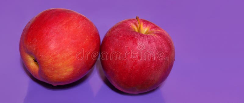 Two Red Apples on a Purple Background Stock Photo - Image of nutrition ...