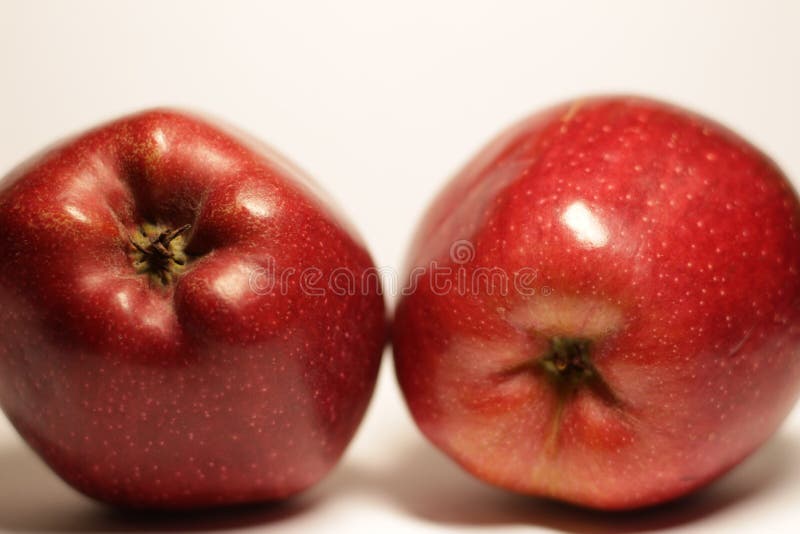 Two red apples stock photo. Image of diet, nature, healthy - 81202672