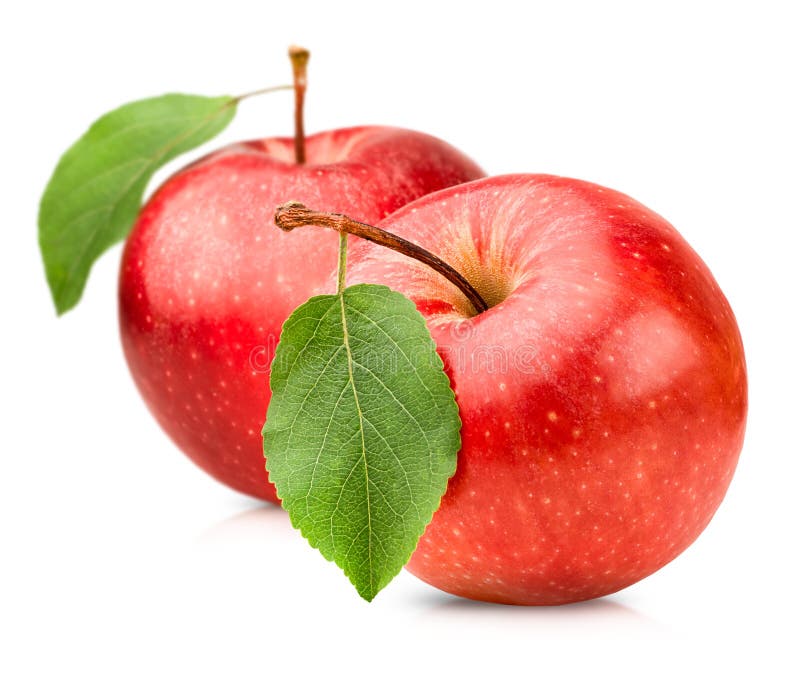 Two red apples stock photo. Image of ripe, organic, healthy - 258113358