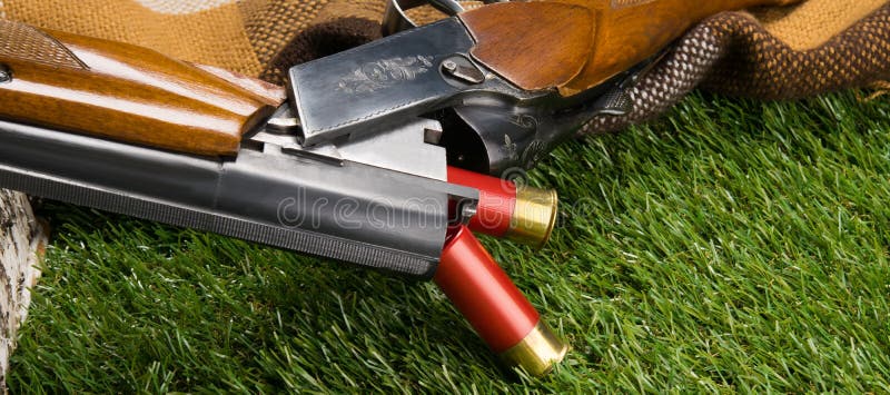 Two Red Bullets for a Gun, Fell on a Green Lawn Stock Image - Image of ...