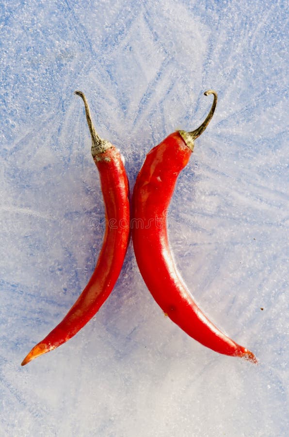 Two Red Chilli Peppers Frozen in Ice Stock Photo - Image of snow ...