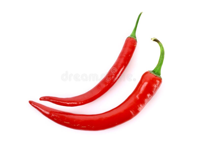 Two Red Chilly Pepper Isolated Stock Photo - Image of flavoring ...